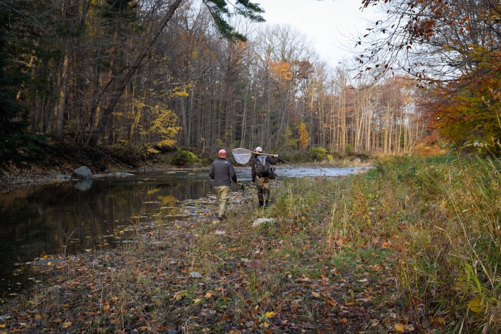 'Steelhead Alley' is Giving a Boost to the Great Lakes Economy - The ...