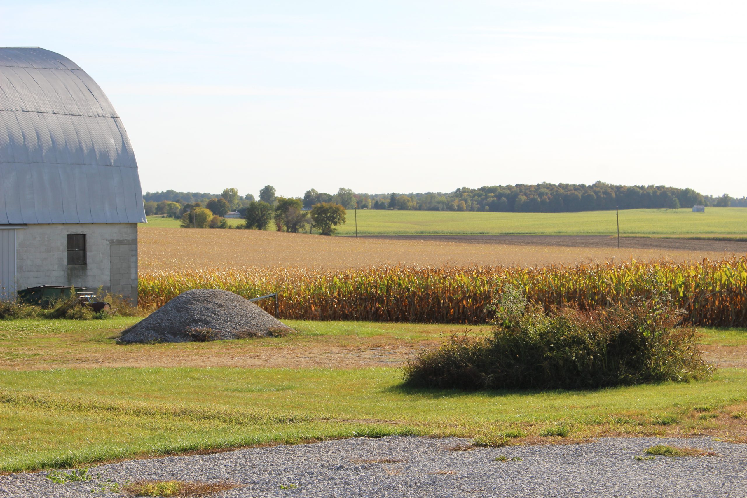 Wind energy has divided one rural Ohio county. Now, voters get to ...